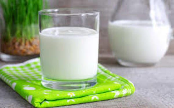 Le Kéfir - Info Santé Nature